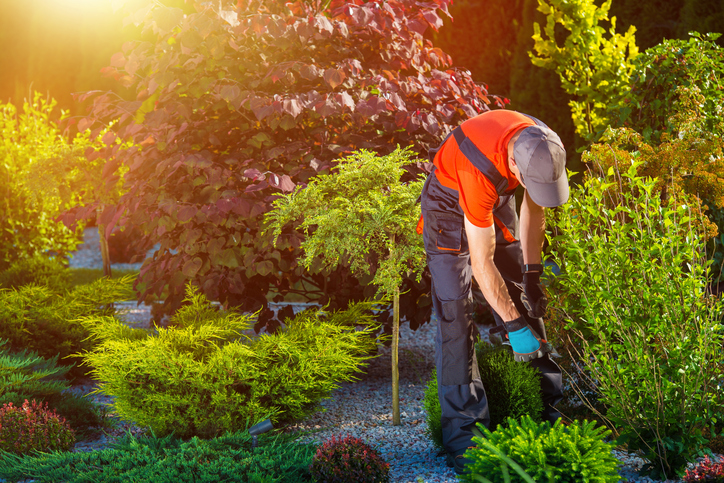 Starting a Commercial Landscaping Business: A Comprehensive Guide | U.S ...